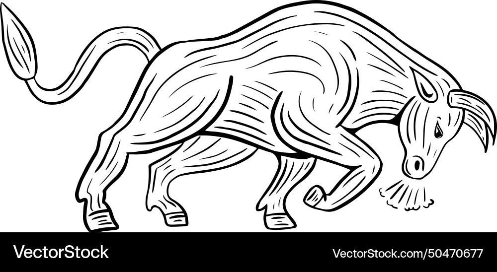 Hand drawn angry charging bull isolated Royalty Free Vector