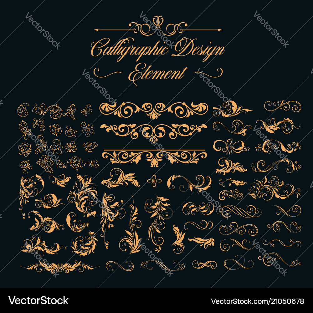 Calligraphic design elements Royalty Free Vector Image
