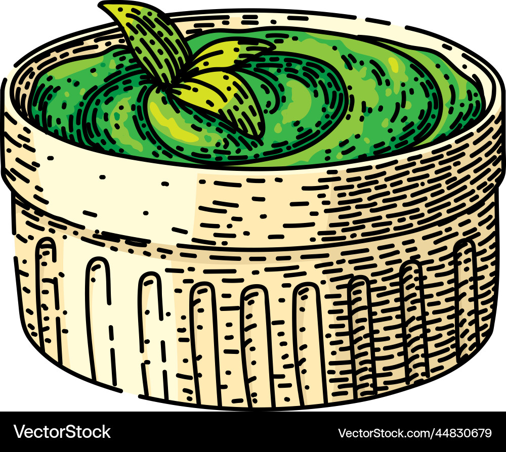 Bowl pesto sketch hand drawn Royalty Free Vector Image