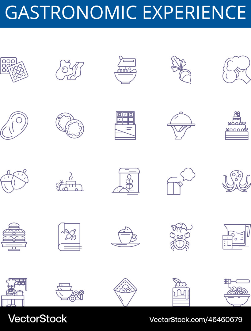 Gastronomic experience line icons signs set Vector Image