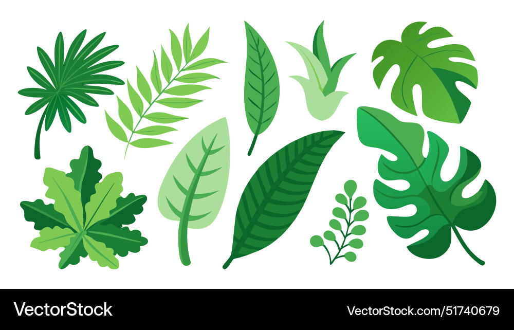 Jungle leaves cartoon different tropical plants Vector Image