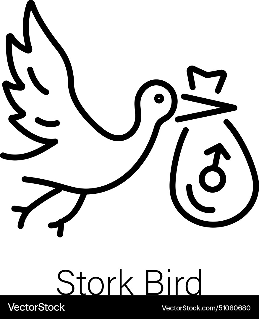 Stork bird Royalty Free Vector Image - VectorStock