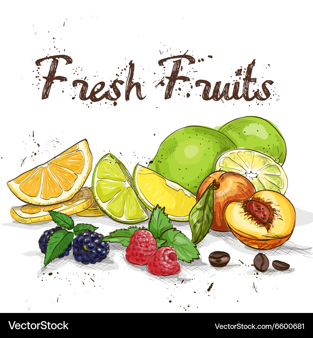 Fresh fruits background Royalty Free Vector Image