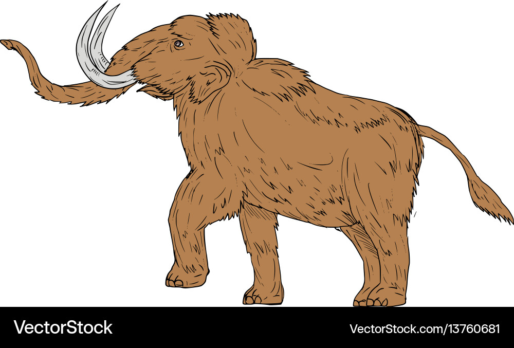 Woolly mammoth prancing drawing Royalty Free Vector Image