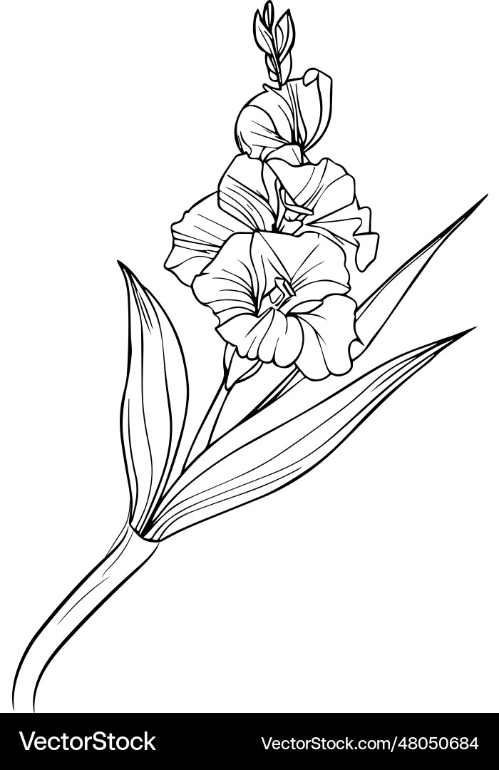 August Birth Flower Tattoo Design - Infoupdate.org