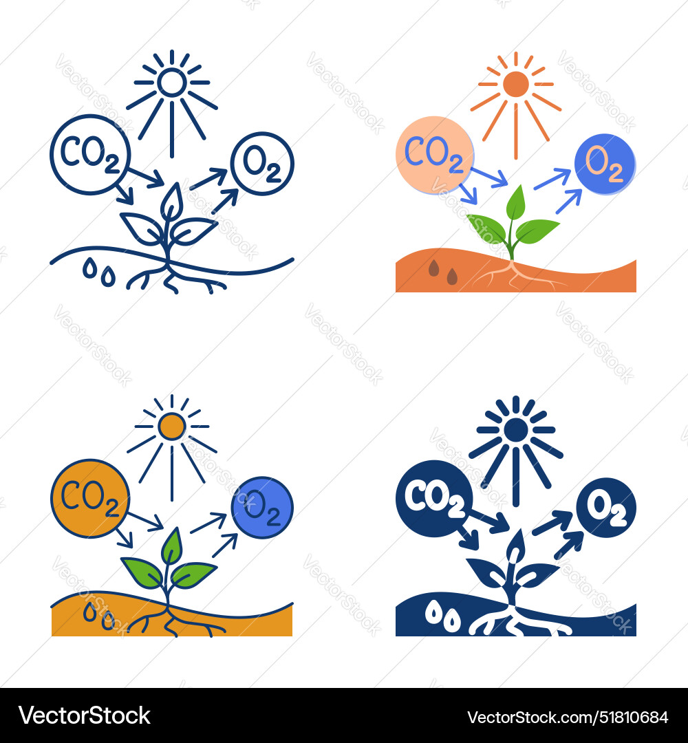 Photosynthesis process flat and line icon set Vector Image