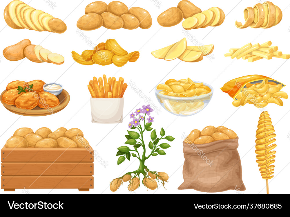 Potato Product Icons Royalty Free Vector Image