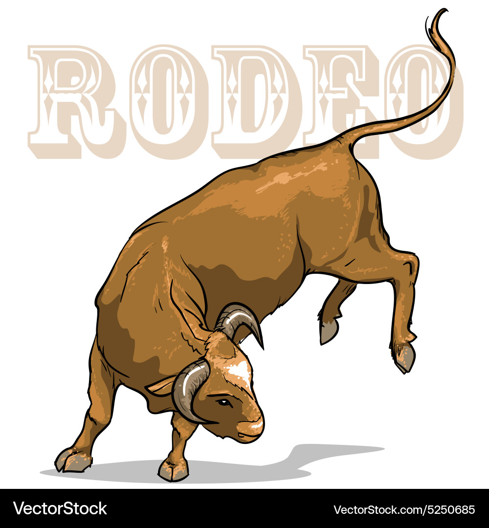 Rodeo bull isolated Royalty Free Vector Image - VectorStock