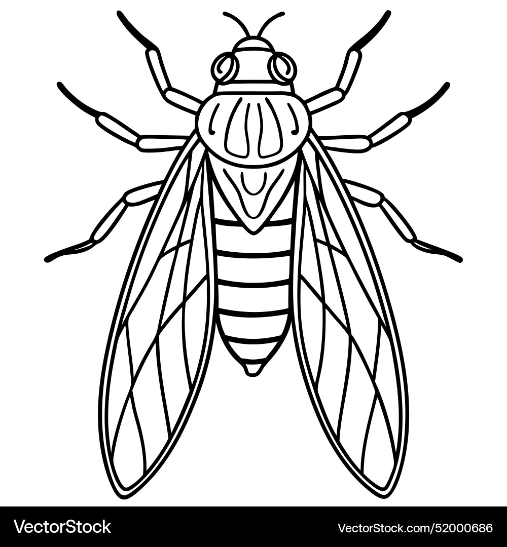 Cicada bug sits icon Royalty Free Vector Image