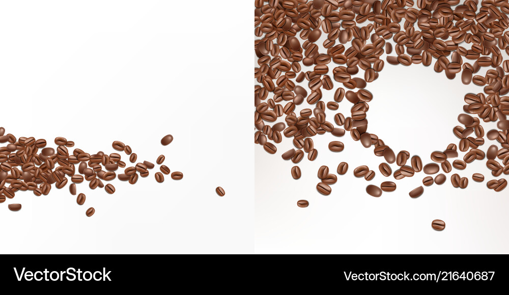 3d realistic seeds of coffee beans Royalty Free Vector Image