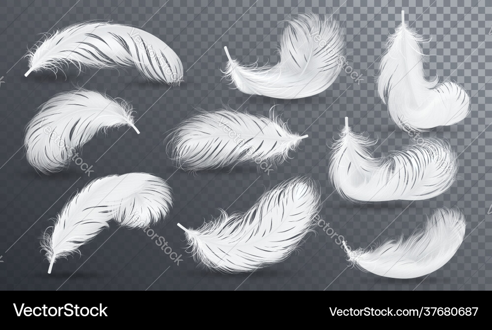 Falling white fluffy twirled feather set Vector Image