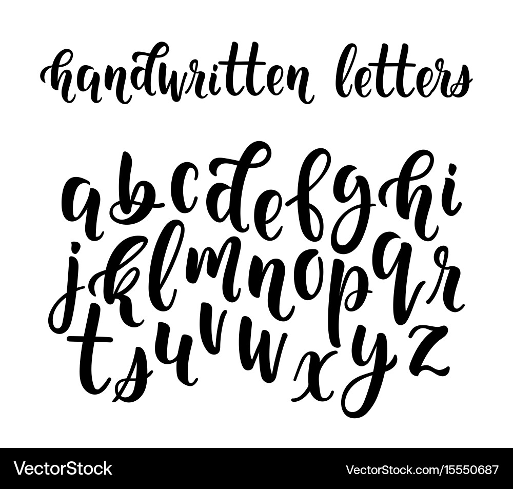 Handwritten latin calligraphy brush script Vector Image