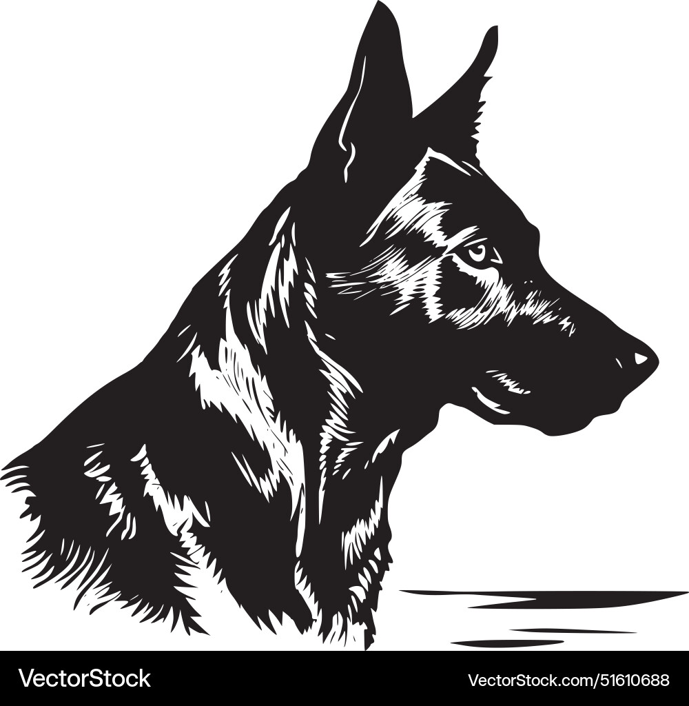 Australian kelpie - minimalist and simple Vector Image
