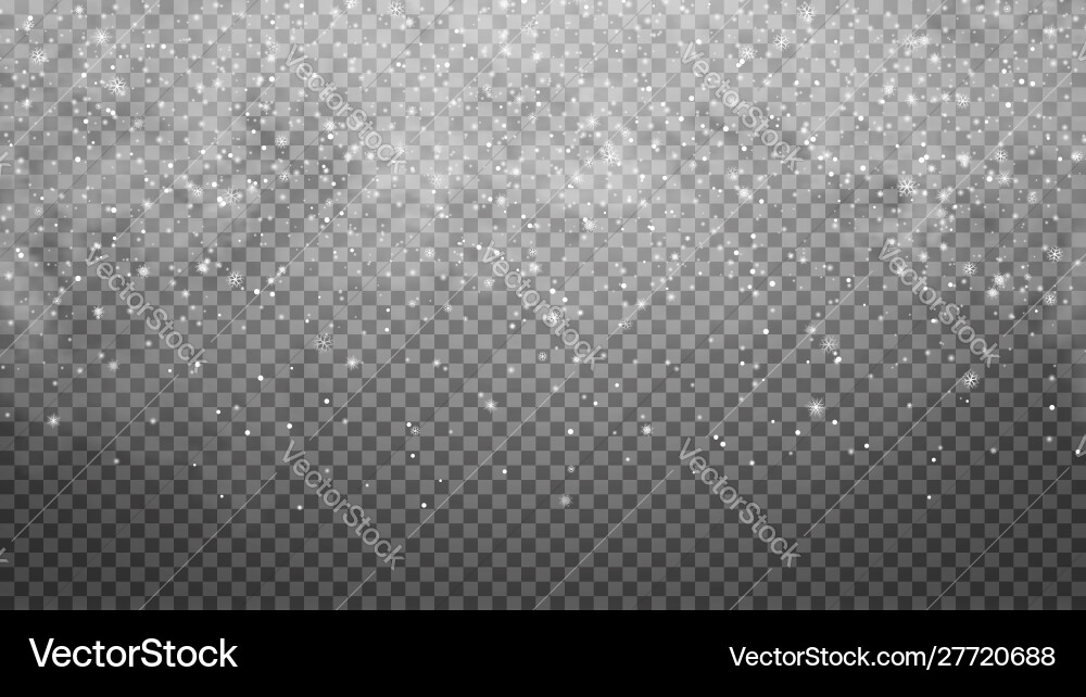 Falling snow on transparent background snowfall Vector Image