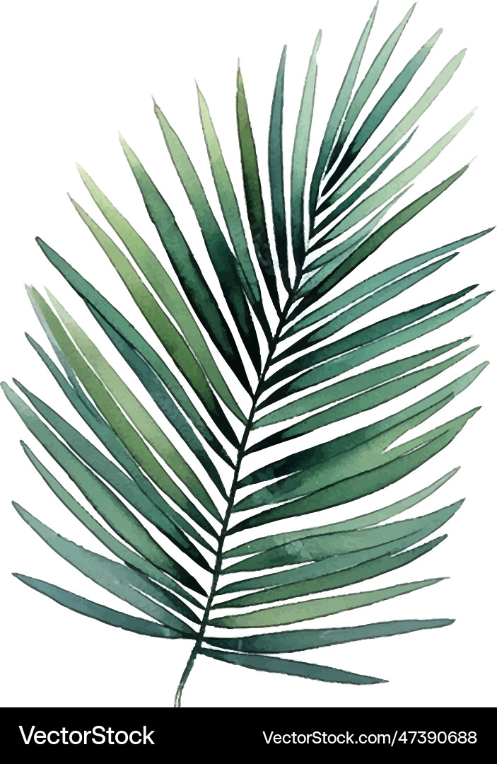 Modern exotic leave watercolor great design Vector Image