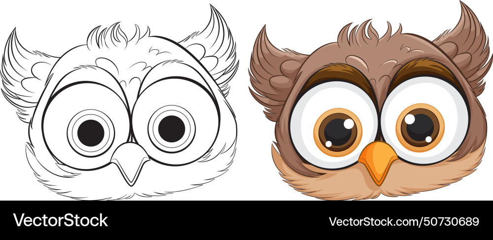 An owl colored and line art Royalty Free Vector Image