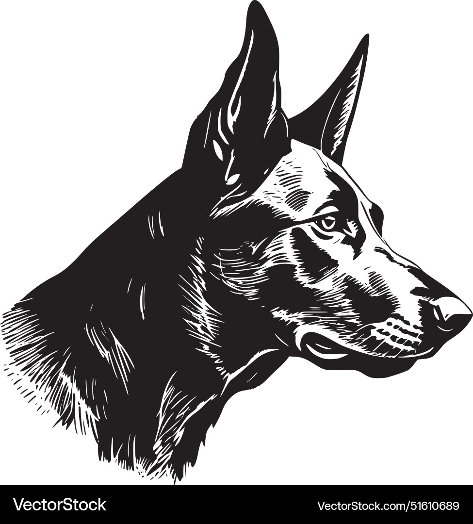 Australian kelpie - high quality logo ideal Vector Image