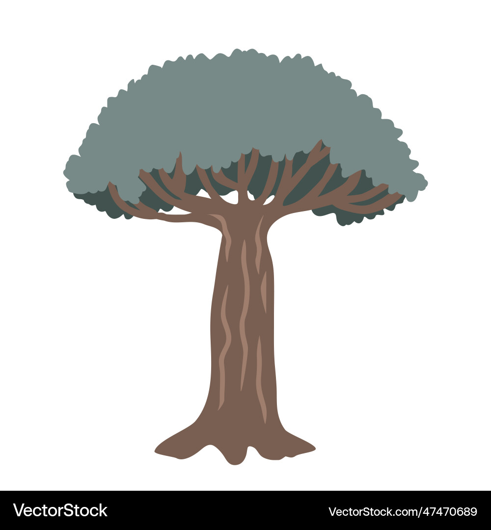 Dragon blood tree on a white background Royalty Free Vector