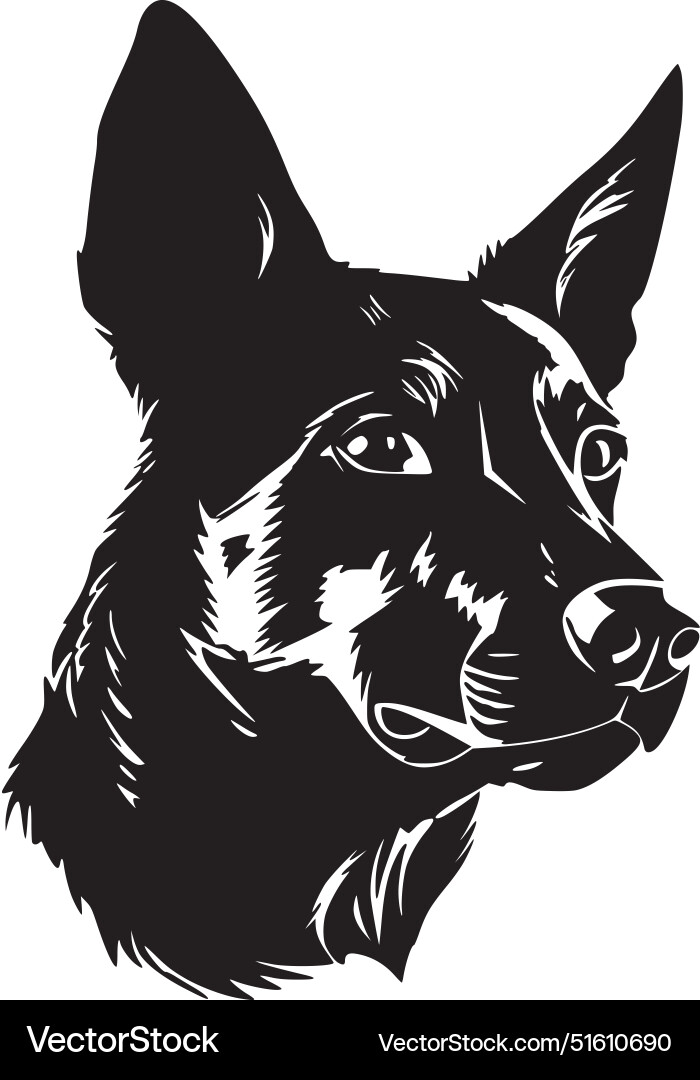 Australian kelpie - high quality logo ideal Vector Image