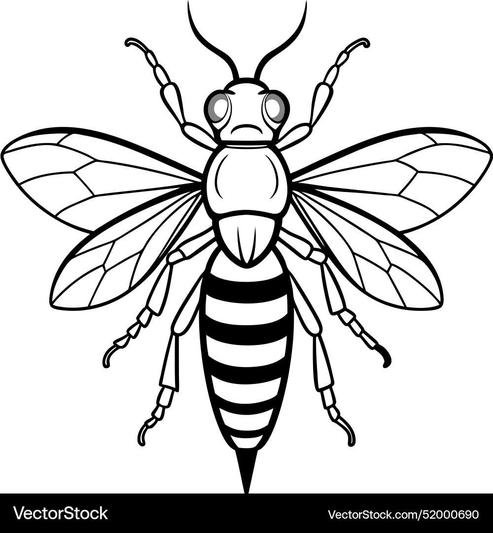 Cicada killer wasp bug stands icon Royalty Free Vector Image