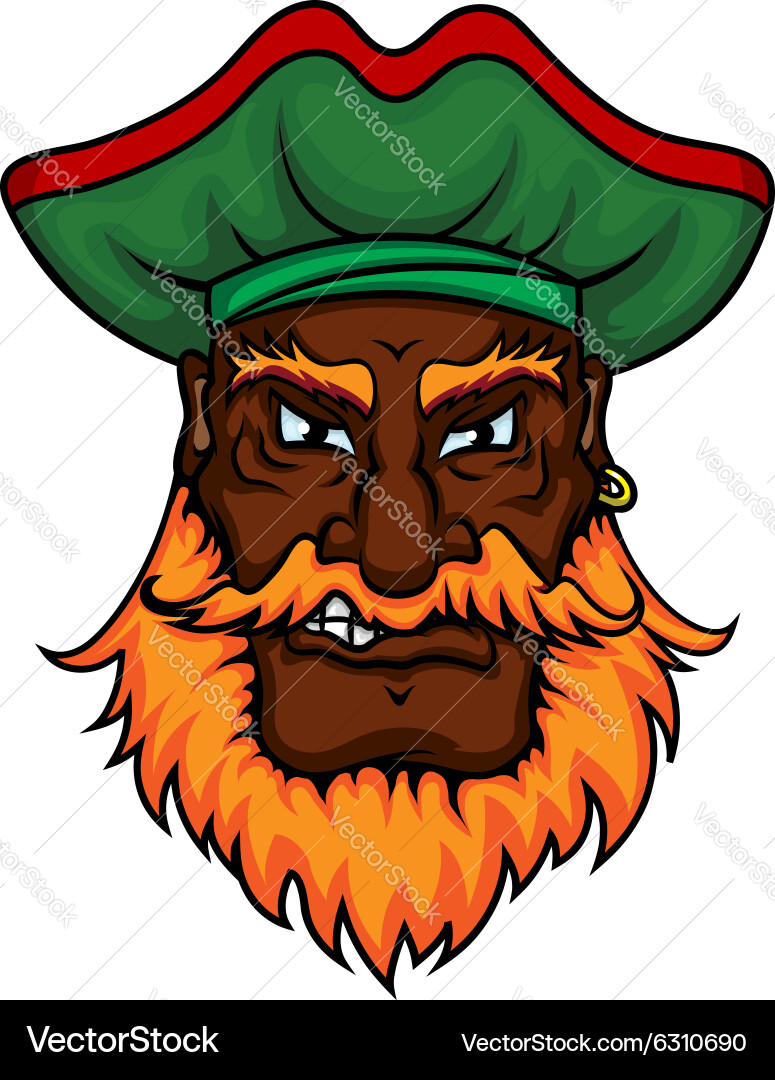 Green Hat Pirate Captain Royalty Free Vector Image