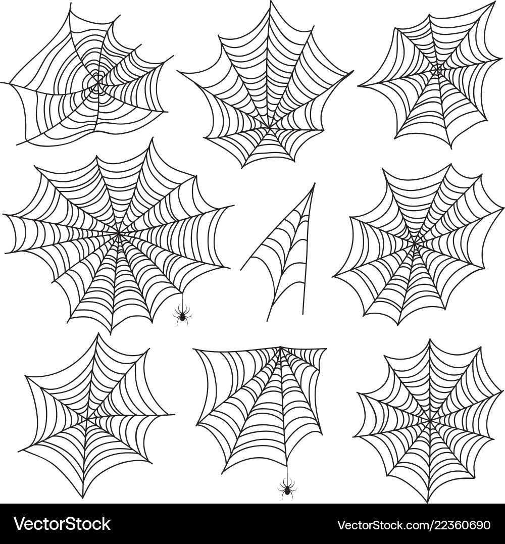 Halloween spiderweb black cobweb and spider Vector Image
