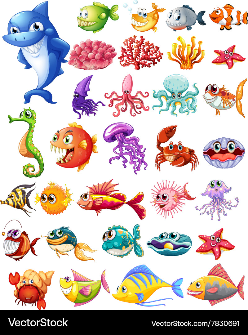 Different types of sea animals Royalty Free Vector Image