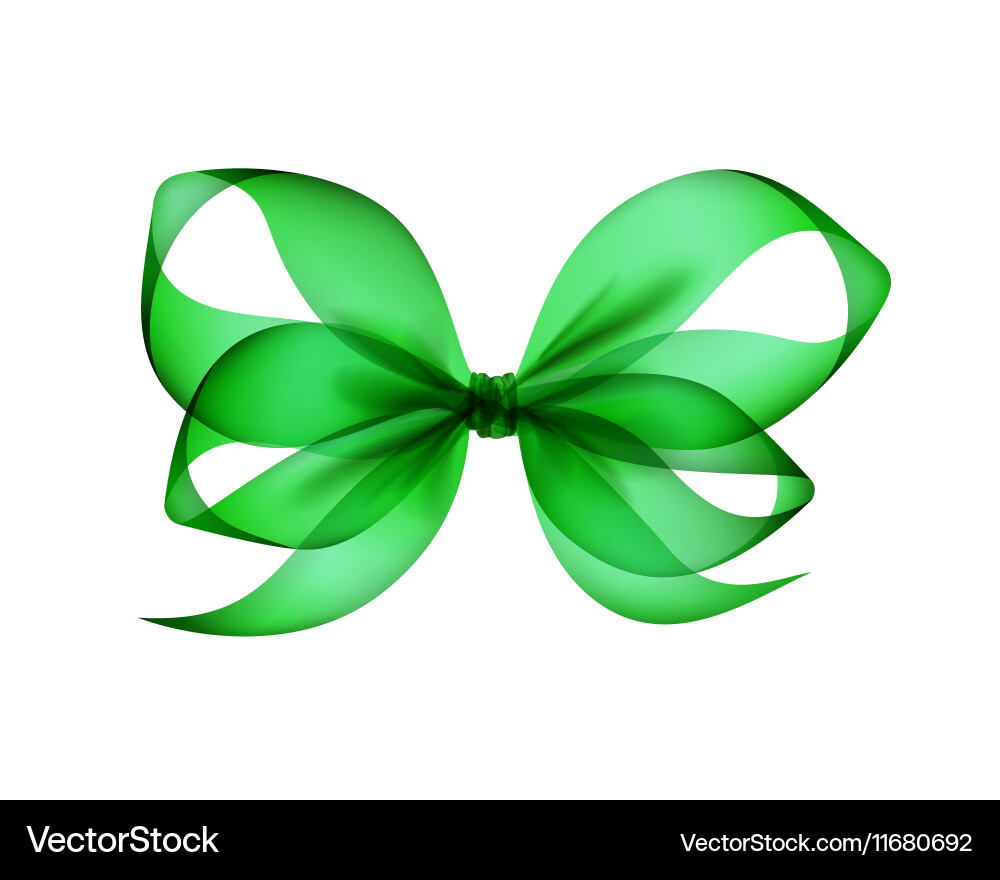 Green transparent bow top view on background Vector Image