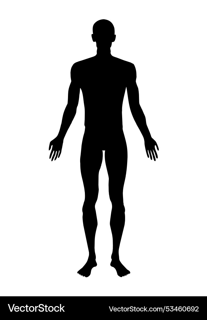 Silhouette of a human body Royalty Free Vector Image