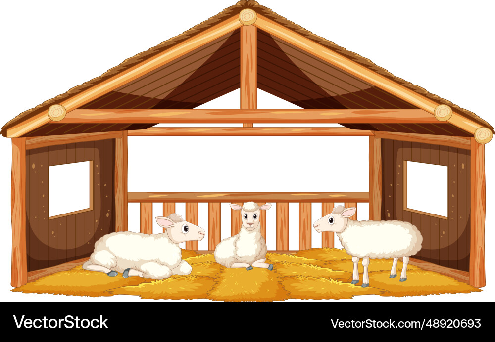 Sheeps in stable a cartoon Royalty Free Vector Image