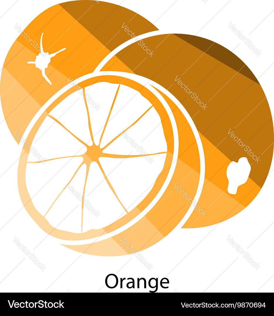 Orange icon Royalty Free Vector Image - VectorStock