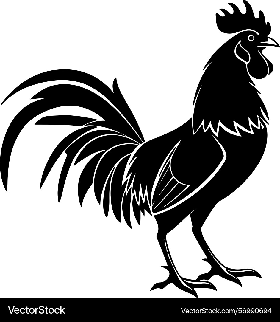 Rooster with expanded chest and elegant tail Vector Image