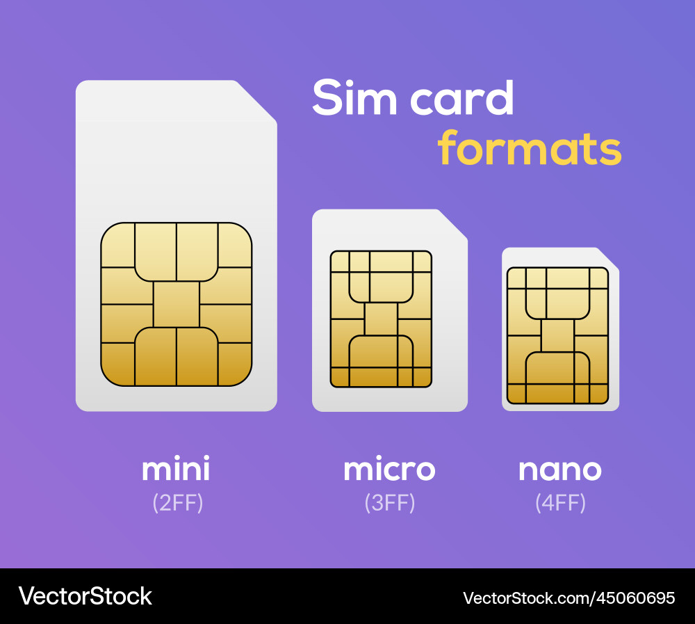 Sim card nano chip micro simcard isolated mini Vector Image