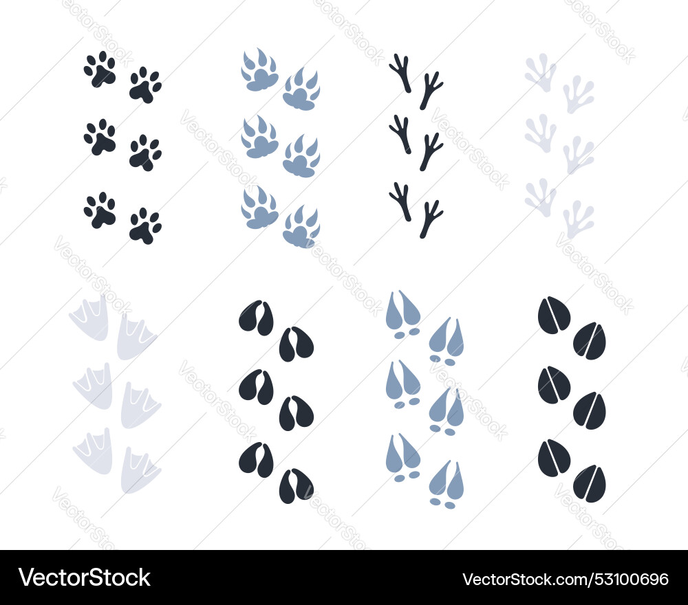 Animal and bird trace steps set tracks Royalty Free Vector