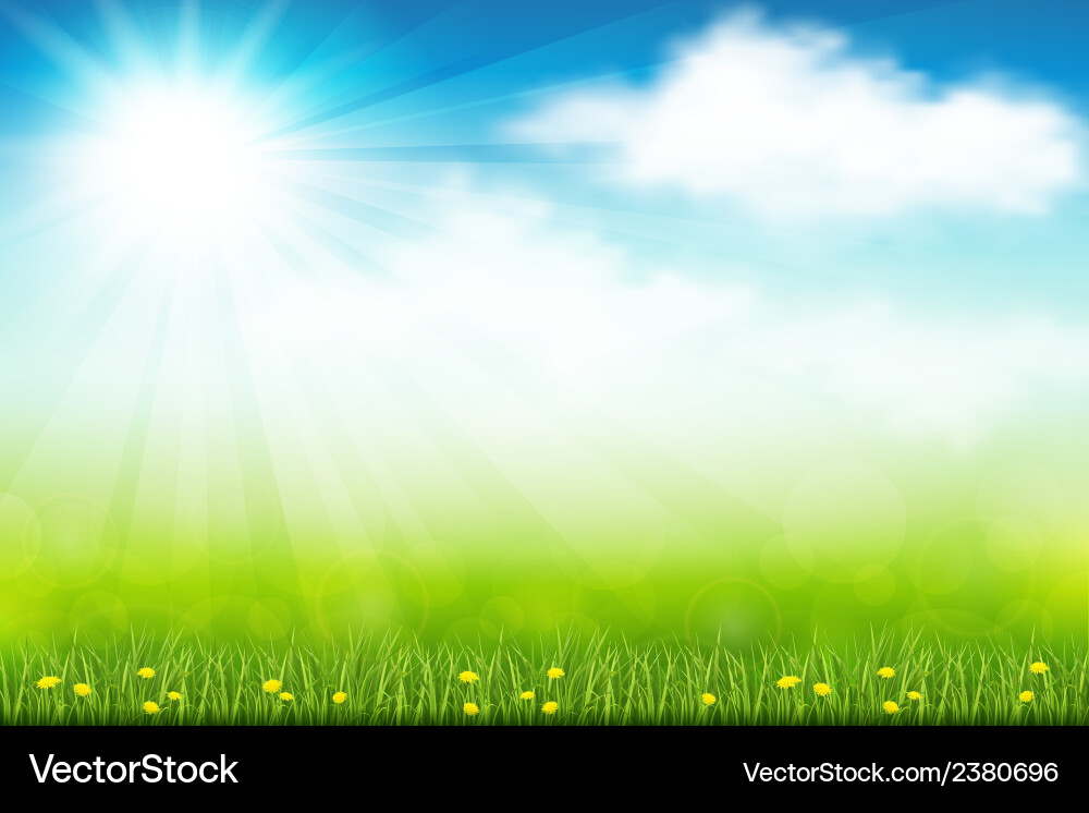 Green field Royalty Free Vector Image - VectorStock