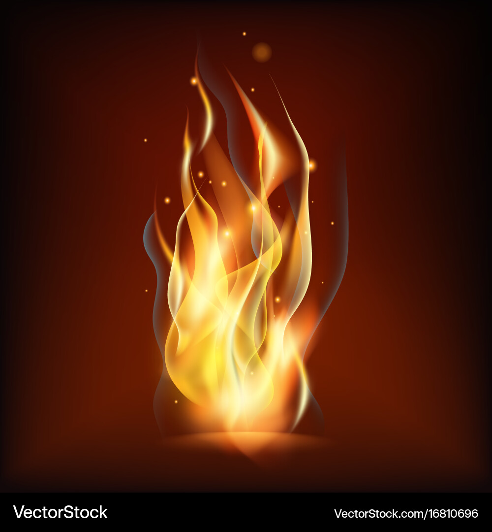 Realistic fire flame Royalty Free Vector Image