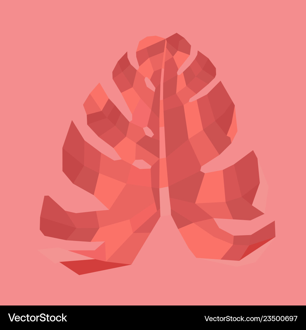Abstract of exotic leave Royalty Free Vector Image