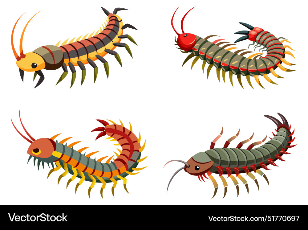 Centipede set flat animal pro style Royalty Free Vector