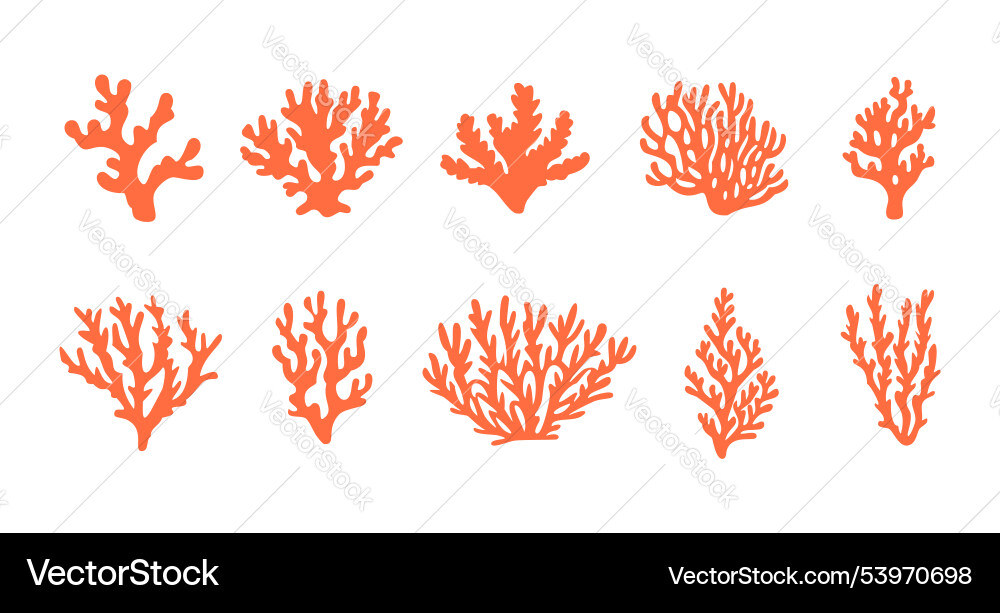Coral reef set Royalty Free Vector Image - VectorStock