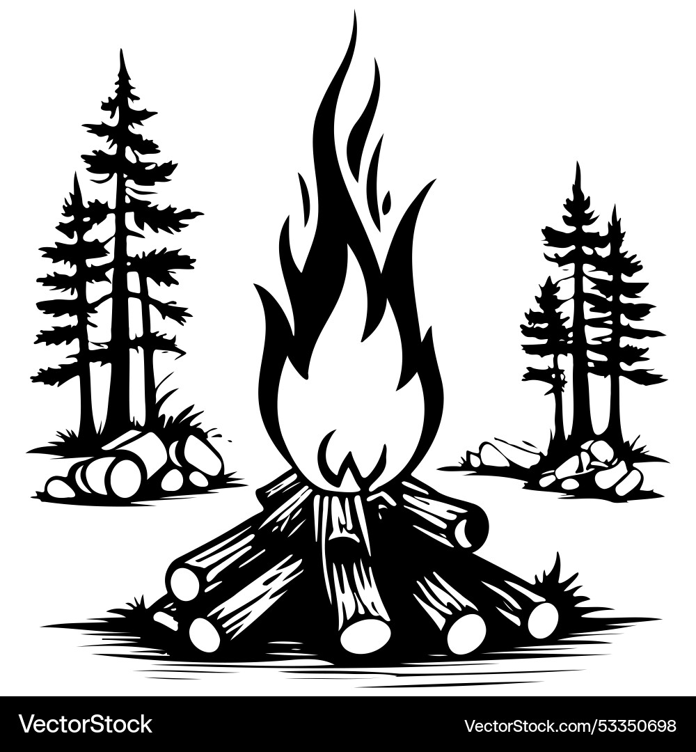 Sketches camp fire sketch realistic line Vector Image
