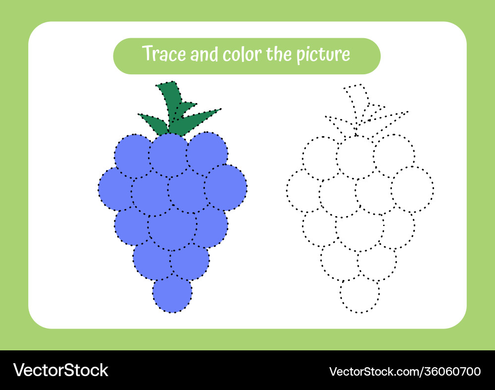 Grape trace and color picture educational Vector Image
