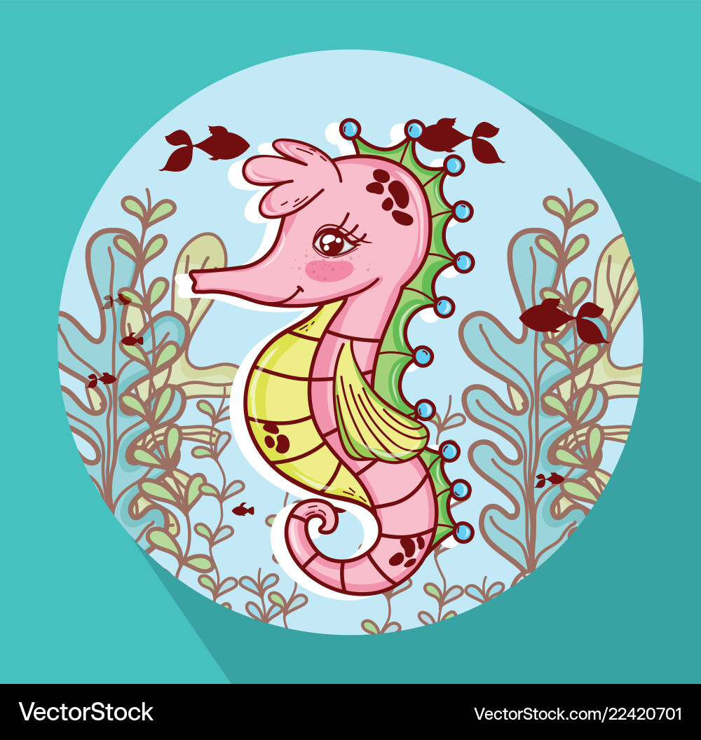 Aquatic marine life Royalty Free Vector Image - VectorStock