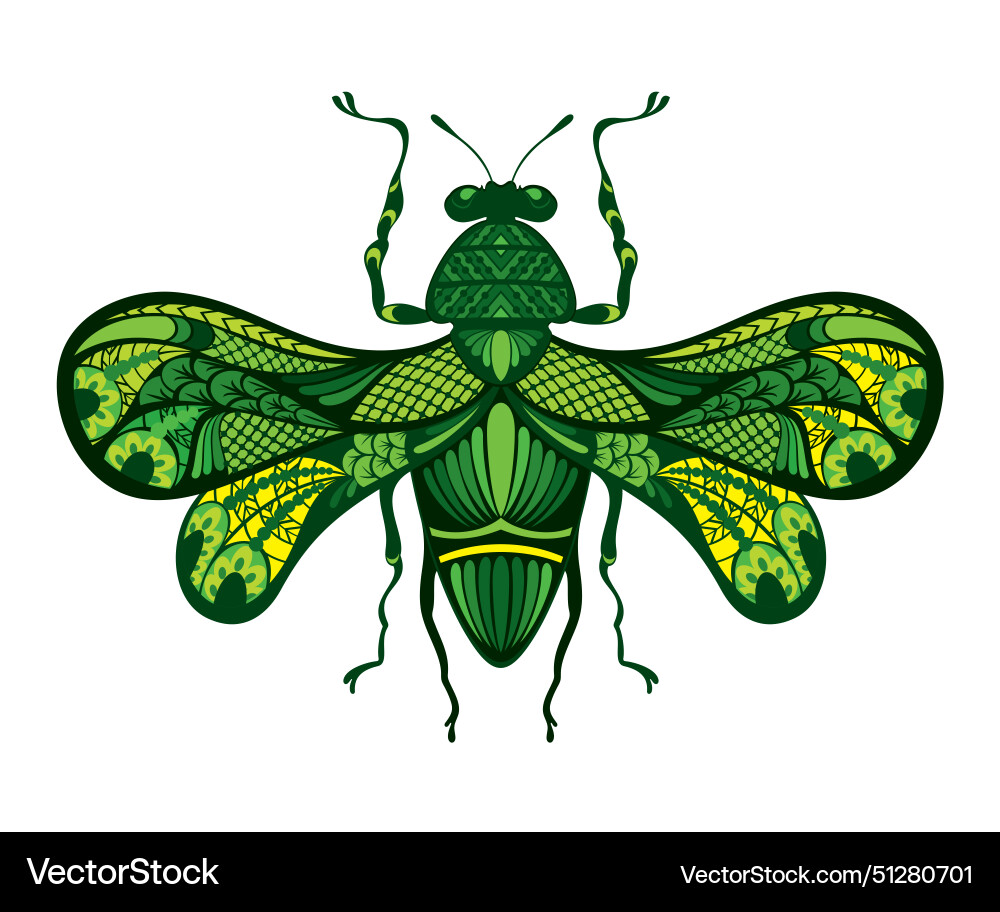 Beetle Royalty Free Vector Image - VectorStock