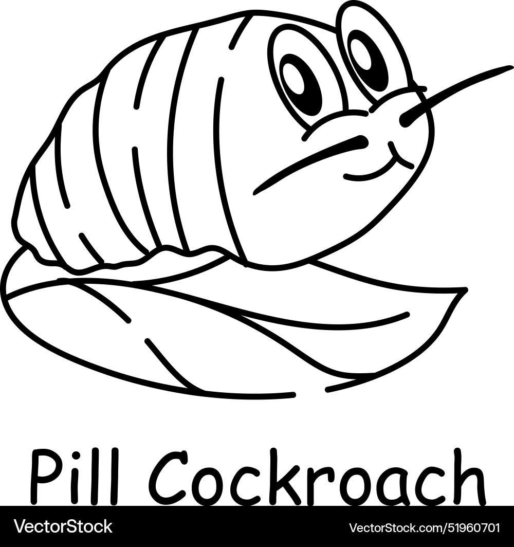 Pill cockroach Royalty Free Vector Image - VectorStock