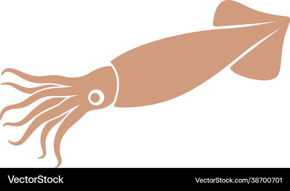 Squid Royalty Free Vector Image - VectorStock