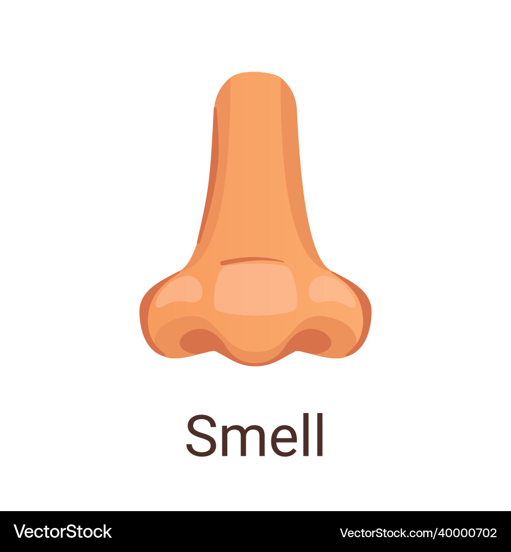 One of five senses - smell Royalty Free Vector Image