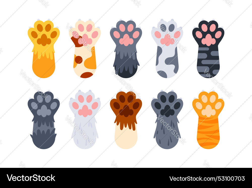 Cat paws set cartoon footprints of kitty Vector Image