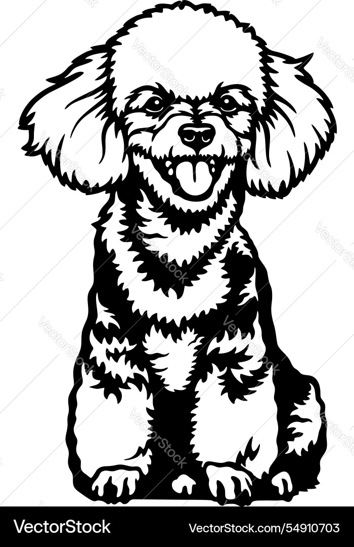 Poodle dog breed - pet cut file dog Royalty Free Vector
