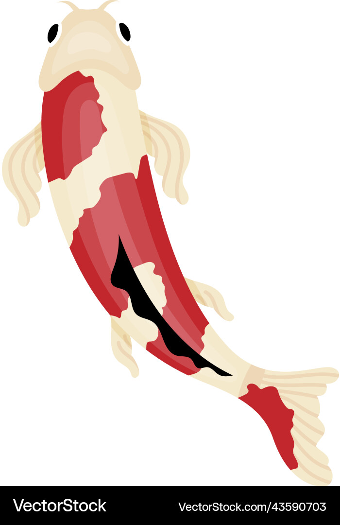 Swimming koi carp red spot pond fish Royalty Free Vector