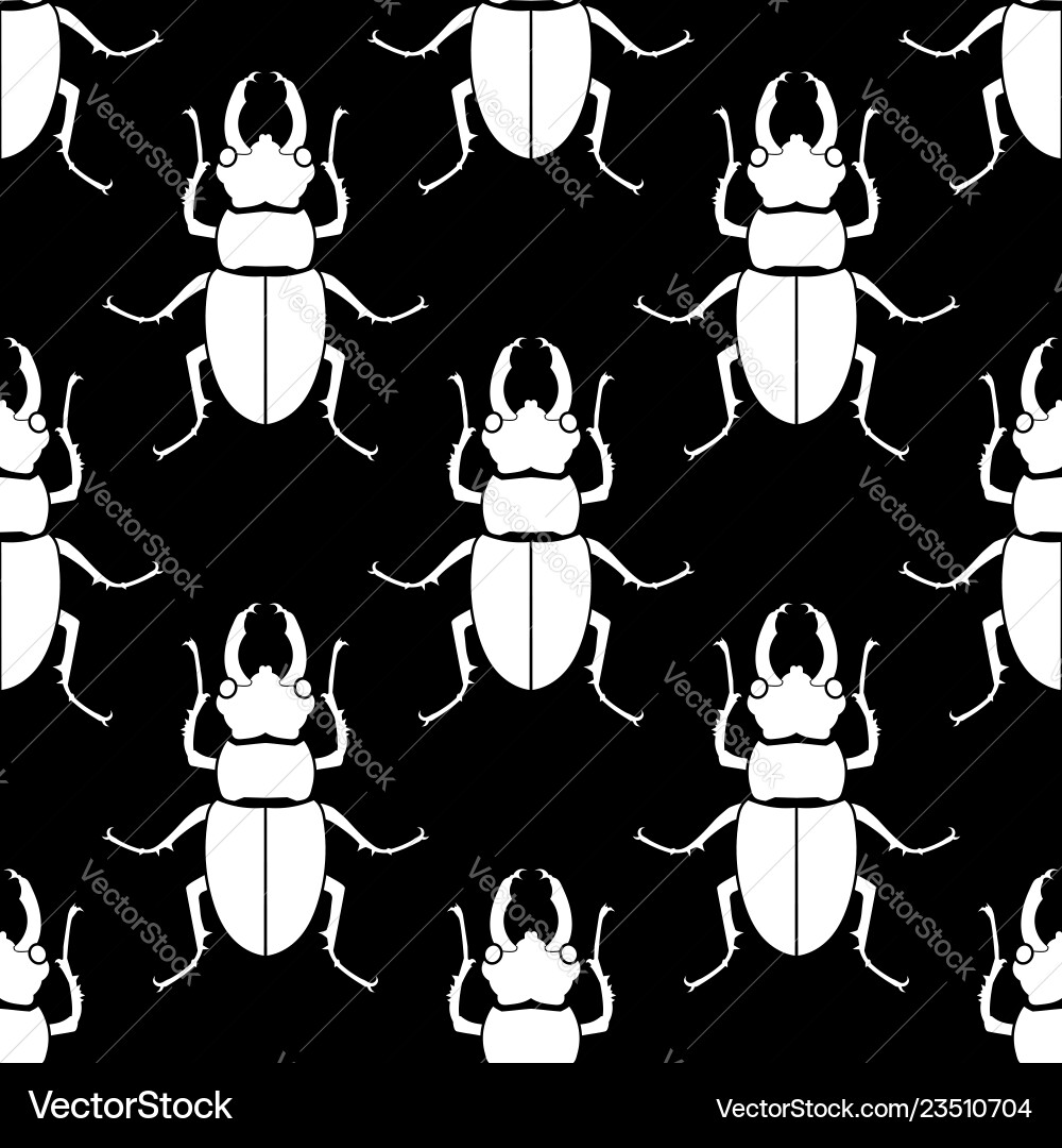 Pattern seamless insect background beetle Vector Image